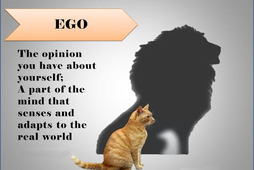 Ego, Ego, Ego! – Jenny Satori Healing